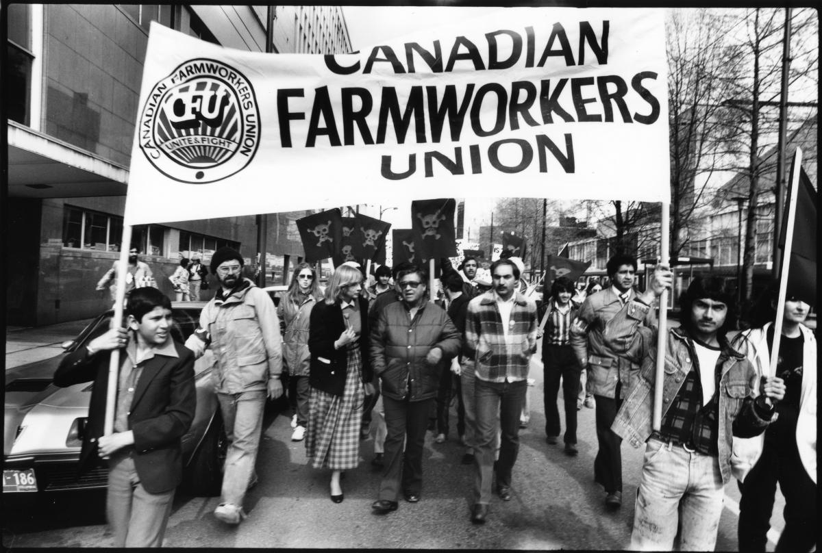 Canadian Farmworkers Union - British Columbia - An Untold History